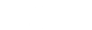 SKYMO USA